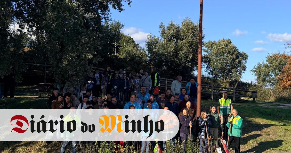 Monte do Picoto recheado com centenas de espécies autóctones - Diário ...