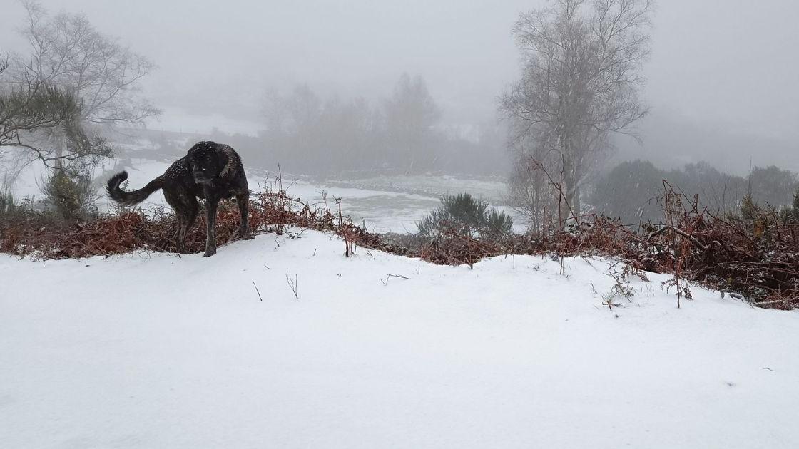 Castro Laboreiro e Arcos de Valdevez acordam cobertos de neve - Diário ...