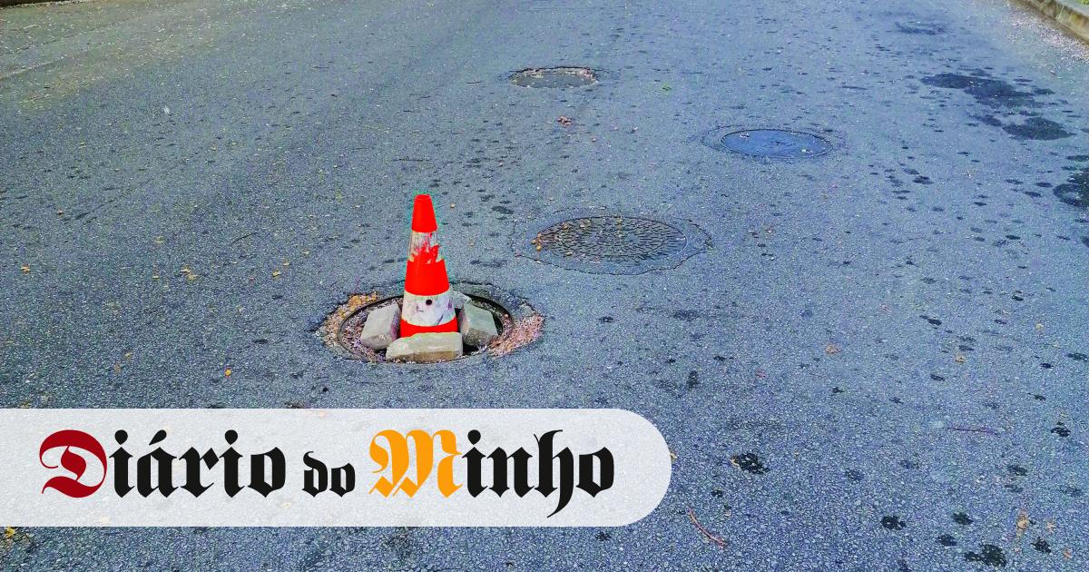 O meco trambolho - Diário do Minho
