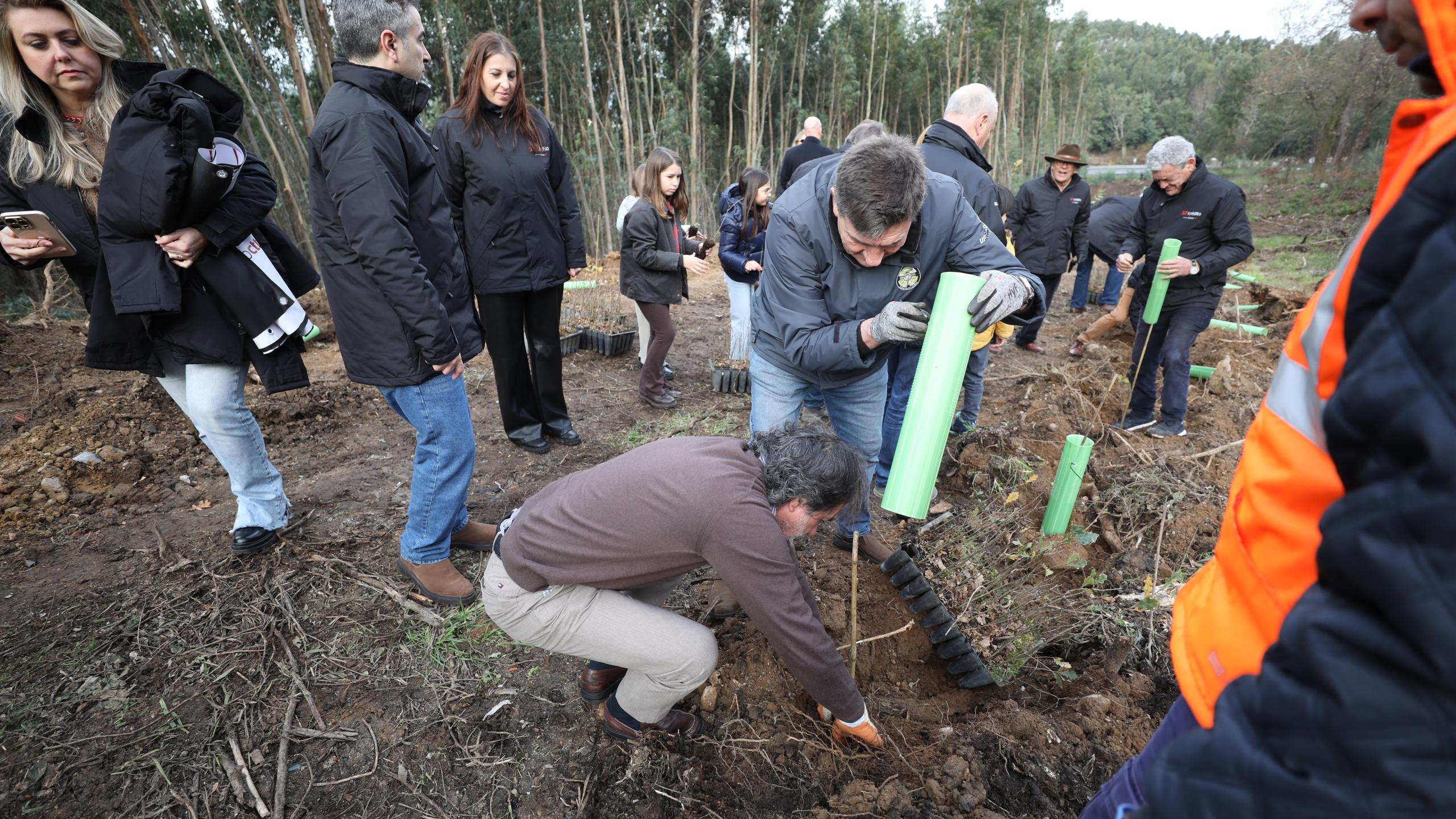 Plantadas mais 250 árvores para compensar pegada carbónica da Rampa da ...